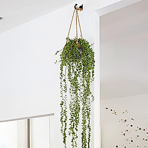 HARSKIYER 6pcs Black Ceiling Hooks, 3" / 75.5mm Ceiling Mounted Hooks Heavy Duty Swag Hook for Hanging Plants Fruit Basket Wind Chimes Lamp