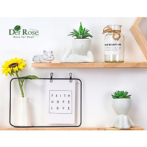 Der Rose Set of 2 Fake Plants Artificial Succulent Plants for Office Desk Accessories Bathroom Home Room Aesthetic Decor Indoor