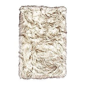 Faux Fur Shag Rug Extra Soft Fluffy Carpet for Any Room Decor 2' x 3' White & Black Tips