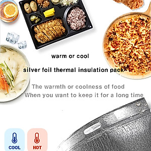 Insulated Easy Zip Lock Resealable Aluminum Bag with ice pack Lunch Bag Sandwich Bag Hot & Cold Pouch Reusable Thermal Picnic Bag With ice pack ( 5, 7 * 10 , ice pack 2 )