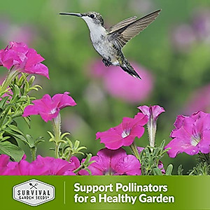 Survival Garden Seeds - Hummingbird Pollinator Mix Wildflower Seed for Planting - Packet with Instructions to Plant and Grow Flowering Plants in Your Home Vegetable Garden - Non-GMO Heirloom Varieties