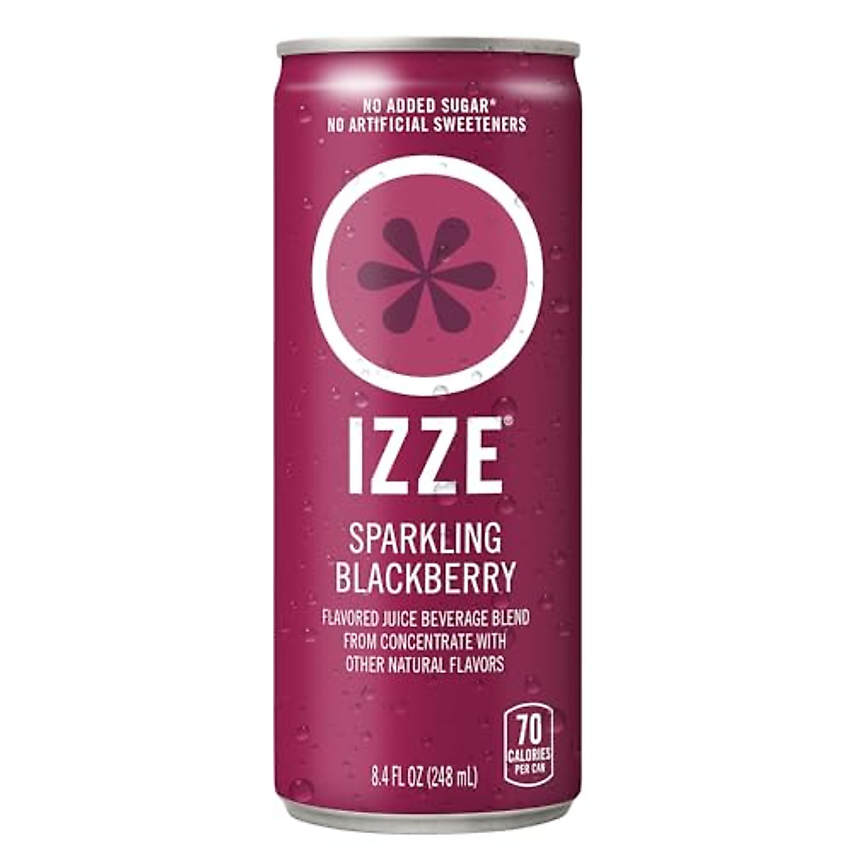 IZZE Blackberry Juice, No Sugar Added, 8.4 oz., 24/Carton