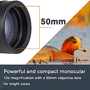 Celestron – Outland X 10x50 Monocular – Outdoor and Birding Monocular – Fully Multi-Coated Optics and BaK-4 Prisms – Bonus Smartphone Adapter and Bluetooth Remote Included