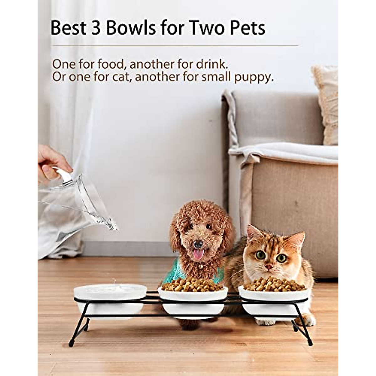 3 Cat Food Bowls Ceramic 13 oz Upgraded with Stainless Steel Stand Non-Slip and Anti-Rust Elevated Raised Cat Bowls for Food and Water, Pet Dishes Bowl for Indoor Cats and Puppy, Dishwasher Safe