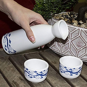 JUST FUNKY Dragon Ball Z Shenron Mug, 10 oz Carafe and 2 oz Cup, Single Color Design (Officially Licensed)