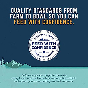 Natural Balance Original Ultra Indoor Chicken & Salmon Meal Cat Food | Dry Food for Indoor Adult Cats | 6-lb. Bag