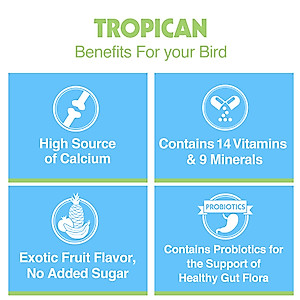 HARI Prime Parrot Vitamin, Mineral and Amino Acid Supplement for Seed Eating Birds, 11.3oz