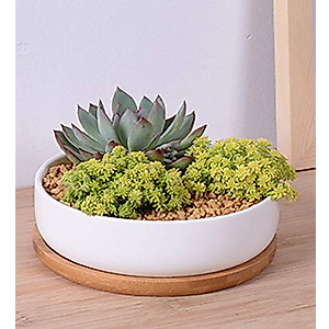Lawei 3 Pack 6 inch Round Succulent Cactus Planter Pots with Drainage Bamboo Tray - Garden Ceramic Flower Planter Pot