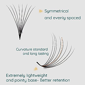 1000 Pcs Premade Fans Eyelash Extensions 3D - 8D 8-15mm Mixed 10 Length Premade Lash Fans Promade Fans Thin Base Pre Made Fans Lash Extensions Loose Fans Promades Eyelash Fans (8D 0.07 C 8-15 Mix)