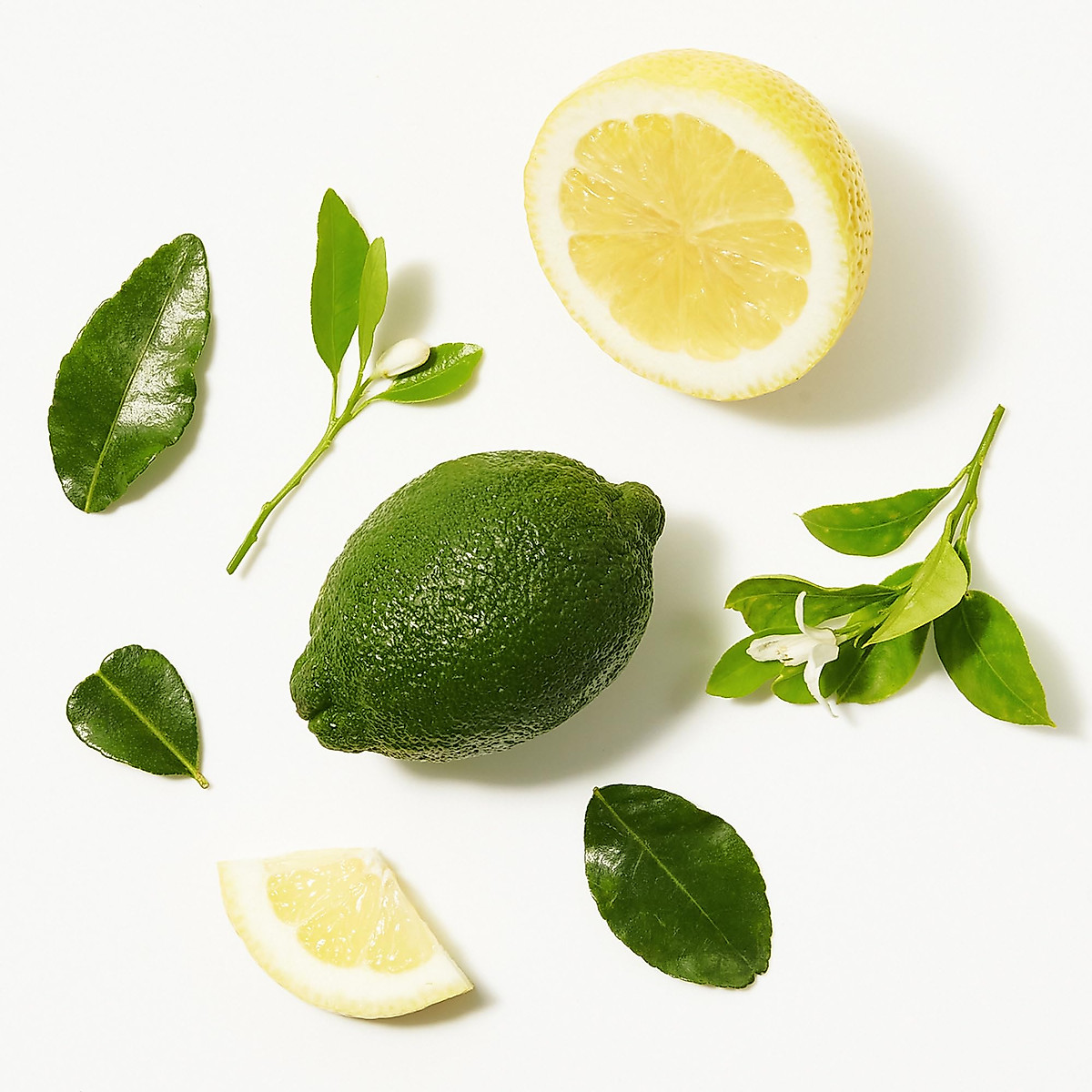 Not Your Mother's Clean Freak Refreshing Dry Shampoo (3-Pack) - 7 oz - Waterless Shampoo Instantly Refreshes Hair Between Washes - Fresh Citrus Scent