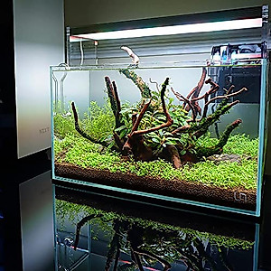 Ultum Nature Systems Controsoil - Aquarium Substrate Soil Porous Gravel for Natural Aquatic Freshwater Planted Fish Tank, Brown (Extra Fine, 1 Liter)