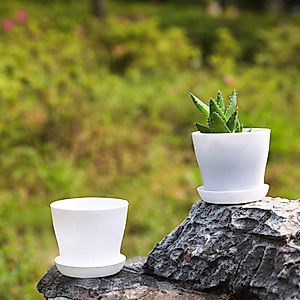 TDHDIKE 25 Pcs Plastic Planters Indoor Flower Plant Pots, Mini Flower Seedlings Nursery Pot with Pallet, Modern Decorative Gardening Containers (White, 25)