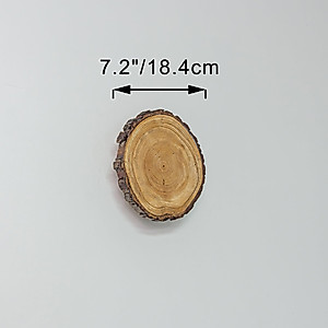 SKIVTGLAMP Cracked Tree-Ring Wood Wall Sconce Rechargeable Battery Operated LED PIP Motion IR Sensor Wall Lamp, No Drilling Cordless Hand Crafted for Rustic Home Decor Backdrop Landscape Customizable