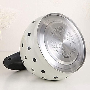 Tea Kettle Stovetop Whistling Teapot Stainless Steel Whistling Kettle 3L Whistling Teapot Water Kettle Boiling Kettle With Heat Insulating Handle Whistle Kettle Stove Top Kettle (Color : Red, Size :