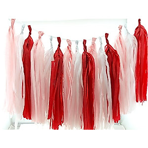 Valentine's Day Paper Garland, Red & Pink Cupid Tissue Paper Party Tassels (Set of 15) - Valentines Party Supplies & Wedding Decorations, Valentines Day Party Decor & Photo Backdrops