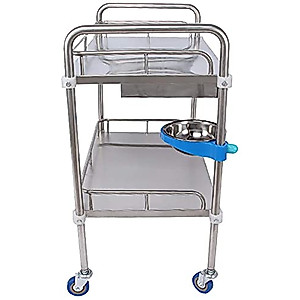 Cart Trolley, Lab Clinic Serving Cart Trolley 2-Tier Medical Trolley Stainless Steel Treatment Trolley/Medical Laboratory Equipment Carts/Beauty Salon Tool Car，L50xW40xH86cm The Taste of Home