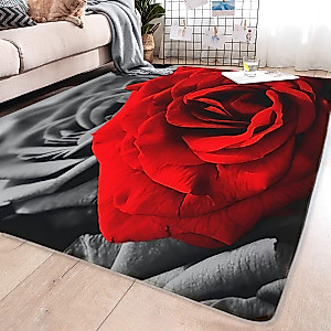 LUCKYYOUGAN Large Farmhouse Rug for Farmhouse Decor,Romantic Rose Black and White red Painting Abstract Living Room Mat Bedroom Area Rugs Home Decor Non-Slip Crystal Floor Polyester Mat 35.4x23.9inch