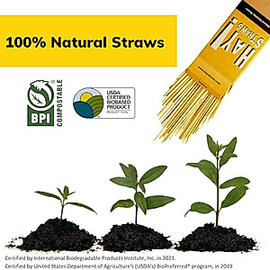 HAY! Straws | 3000ct. Bulk Straws | 5" | 100% Compostable, 100% Plant-Based, Never Soggy, Gluten-Free | Sustainable Alternative to Plastic & Bioplastic Straws
