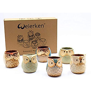 Weierken 12PCS Owl Pot Ceramic Flowing Glaze Base Serial Set Mini Succulent Plant Pot Cactus Plant Pot Container Planter Bonsai Pots with A Hole