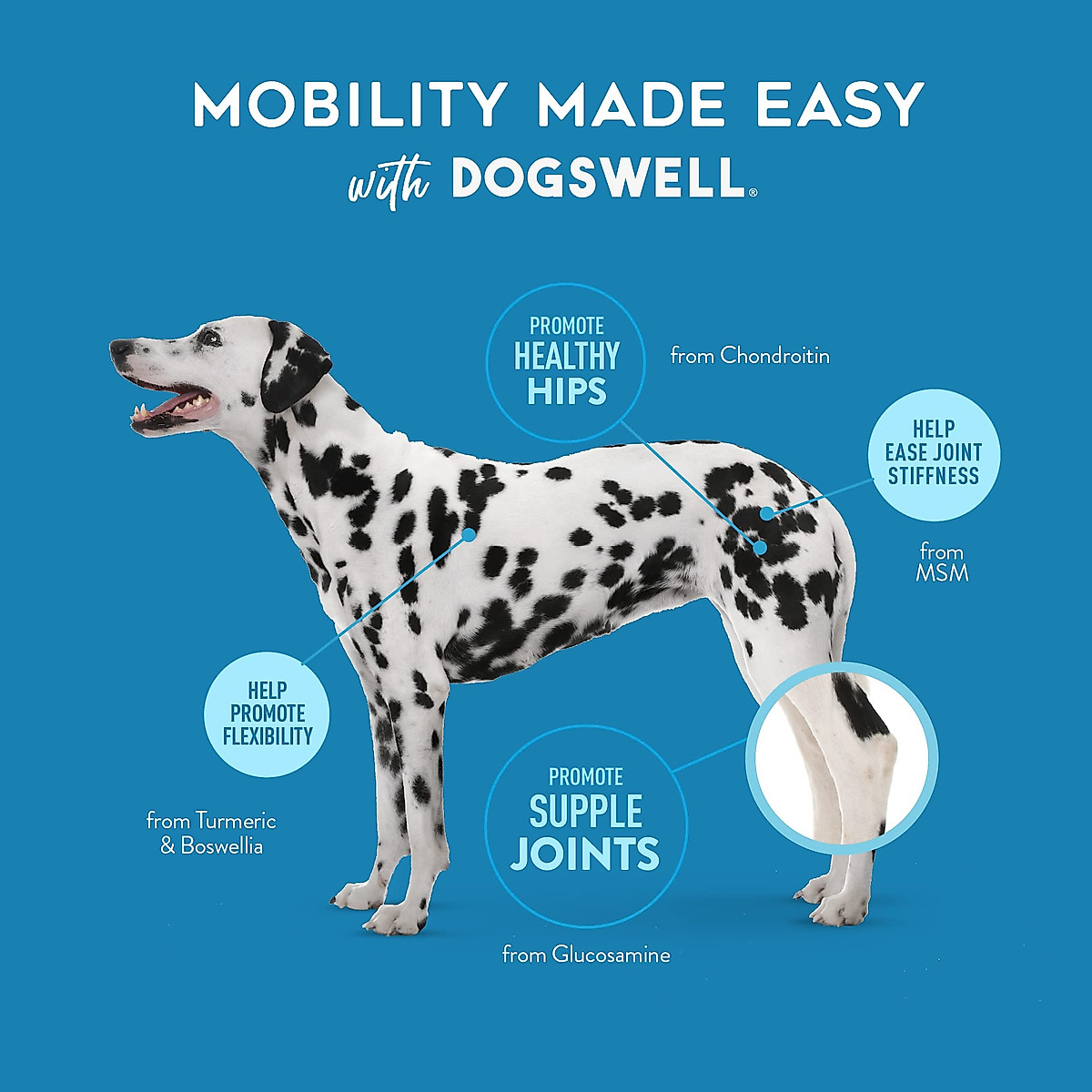 DOGSWELL Hip and Joint Supplement for Dogs - Soft Chews with Glucosamine, Chondroitin, MSM, Boswellia & Turmeric, 1 Pound