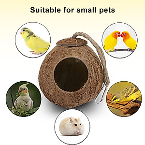 Hypeety Natural Coconut Shell Bird Nest House Hut for Pet Parrot Canary Finch Pigeon Cage Hamster Rat Gerbil Mice Cage Seed Feeder Toy