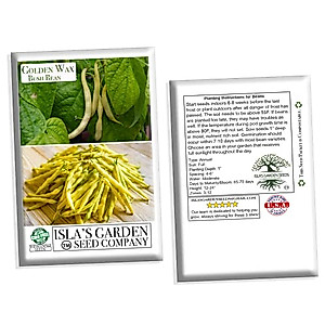 Golden Wax Bush Bean Plant Seeds, 50 Heirloom Seeds Per Packet, Non GMO Seeds, (Isla's Garden Seeds), Botanical Name: Phaseolus vulgaris, 85% Germination Rates
