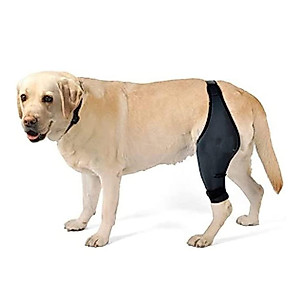 DRESSOOS Dog Foreleg Support Brace Dog Hindleg Cover Dog Leg Braces for Foreleg Dog Back Leg Protector Dog Bandages for Wounds Cat Leg Splint Dog Joint Supplies Pet Neoprene Fabric Puppy