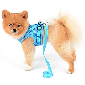 SMALLLEE_LUCKY_STORE Comfort Puppy Harness and Leash,Soft Mesh Step-in Harness for Small Medium Dogs Cat Reflective Safe Walking,Blue,Size M