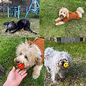 Puppy Teething Toys and Dog Chew Toys 2 Pack, Interactive Dog Puzzle Toys and Treat Dispensing Balls for Small Medium Large Dog and Puppy Dog Toys for Boredom Relief and Brain Stimulating IQ Training