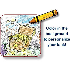 PENN-PLAX Rite-Bite Educational Betta Tank – A Perfect First Aquarium for Children with Adult Supervision – 1.13 Gallon