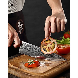 HEZHEN Chef's Knife-Professional-8.3 inch Damascus Steel, Kitchen Knife VG10 Gyuto Knife-Master Series Chef Cooking Tool at Home,Restaurant-Figured Sycamore Wood Handle