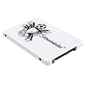 Somnambulist 2.5 sata ssd 120gb 240gb 480gb 960gb 2tb HDD ssd 60gb Solid State Drive Suitable for Desktop Laptop (White Trophy 2TB)