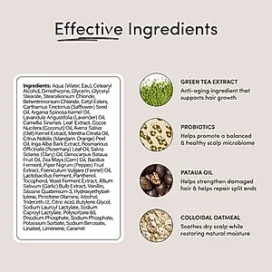 Jupiter, Physician-Formulated Scalp Balancing Conditioner for Dry, Itchy, Oily, Flaky Scalp, Sulfate-Free, Natural Fragrance, Vegan, Color-Safe, & Paraben-Free Conditioner for Women & Men