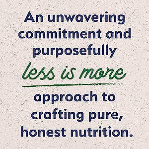 Natural Balance Limited Ingredient Adult Wet Canned Dog Food with Healthy Grains, Lamb & Brown Rice Recipe, 13 Ounce (Pack of 12)