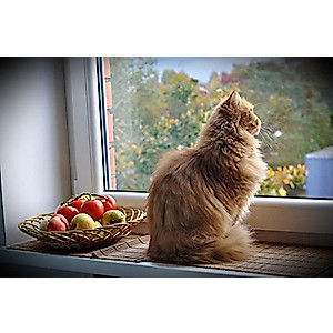 PETS HEALTH SOLUTION Calming cat Products - Relaxant for Cats - Helps Keep Calm - Anxiety Relief - Treats - cat Calming Products for Cats in Heat - 270 Treats (3 Bottle)