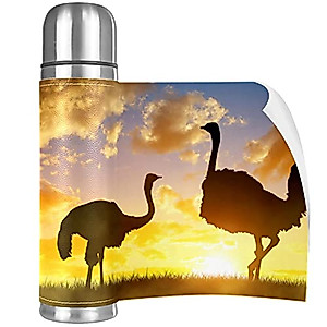 Ostrich African Sunset Vacuum Insulated Water Bottle Stainless Steel Thermos Flask Travel Mug Coffee Cup Double Walled 17 OZ
