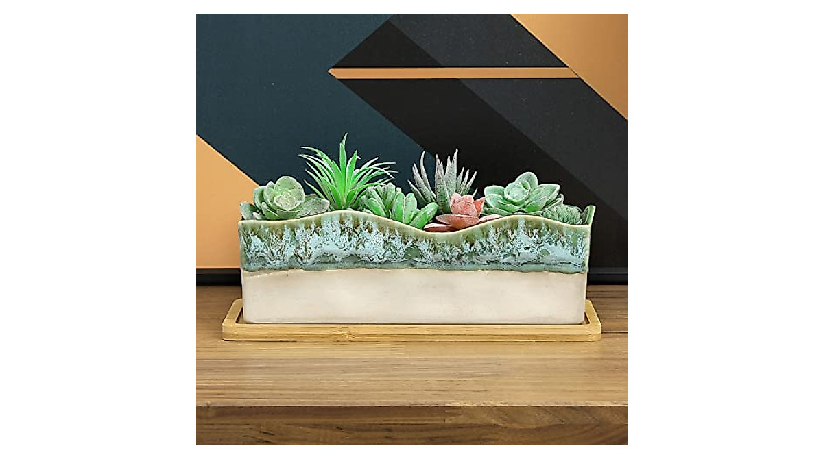 Stylish Beige & Green Succulent Planter with Tray