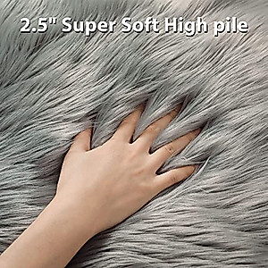 Ophanie Ultra-Luxurious Fluffy Rectangle Area Rug,Soft and Thick Faux Fur Rug,Grey Rug Non-Slip,Fuzzy Rug for Bedroom or Living Room,Shag Rug,3x5 Feet, Grey