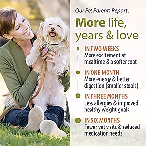 JustFoodForDogs Pantry Fresh Dog Food, Human Grade Chicken & White Rice (12 Pack)