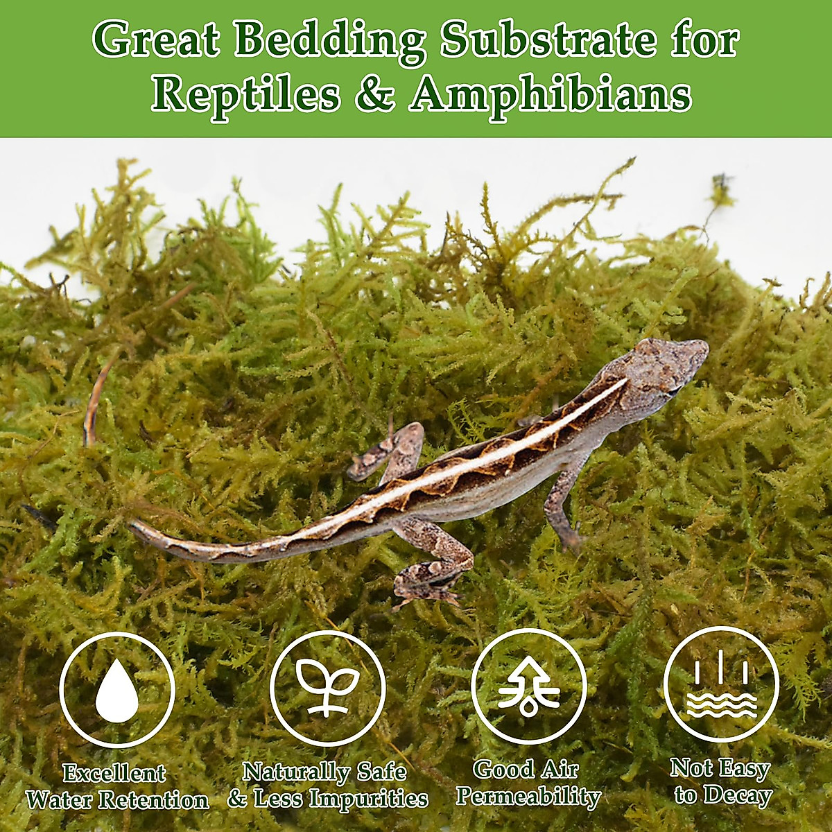 Halatool 9OZ Natural Sphagnum Moss for Reptiles Green Live Moss for Terrarium Plants Long Fiber Reptile Moss for Leopard Gecko Snake Hamsters Tortoises Frogs Lizards Salamanders