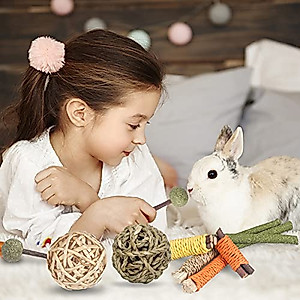 YIXUND Rabbit Toys Guinea Pig Toys Hamster Toys Bunny Toys 18Pcs Natural Timothy Hay Sticks Apple Wood Sticks Chinchilla Toys for Teeth Care Handmade