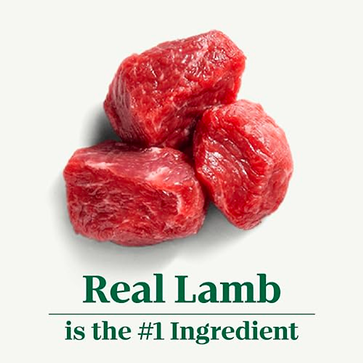 Nutro Natural Choice Adult Healthy Weight Dry Dog Food, Lamb and Brown Rice Recipe, 30 lbs.