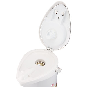 Zojirushi AB-RB22-FC Glass Thermos Air Pot, Tabletop, Heat Retention, 0.6 gal (2.2 L), White