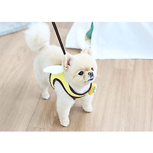Fashionable Harness for Dog and cat, Honey bee Harness, Simple Fashionable Harness for Small Size Dog and cat (Harness only) (Honey Bee Harness, Medium)
