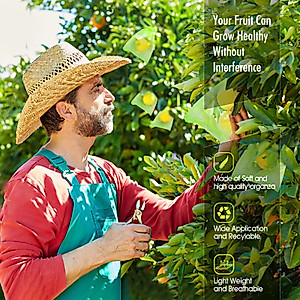 100 Pcs Fruit Protection Bags for Fruit Trees 6 x 8 Inch, Green Mesh Fruit Netting Bag, Fruit Cover Net Bags with Drawstring for Grape Apple Mango Peach Protect from Insect Birds Squirrels