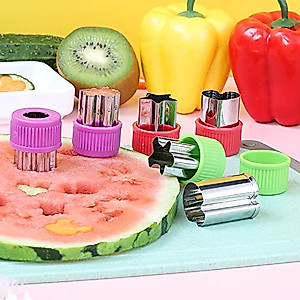 Mini Cookie Cutter Set 30 pcs for Kids Vegetable Cutters and Fruit Stamp Mold Different Shapes and Sizes Stainless Steel