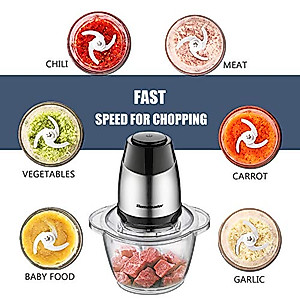 Electric Food Chopper, 5-Cup Food Processor by Homeleader, 1.2L Glass Bowl Grinder for Meat, Vegetables, Fruits and Nuts, Stainless Steel Motor Unit and 4 Sharp Blades, 300W