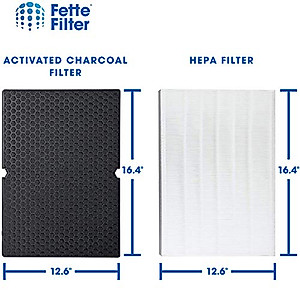 Fette Filter - 116130 Premium True HEPA H13 Filter H Compatible with Winix Filter H 116130 for Winix Model 5500-2 AM80 Air Purifier Includes 2 Pack Ture HEPA Filters + 2 Pack Activated Carbon Pre-Filters
