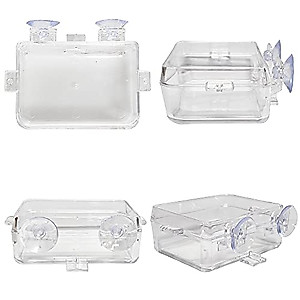 Moduoduo Chameleon Bowl and a Reptile Feeding Tongs 2pcs Feeder and Water Cups with Suction for Iguana Lizard Gecko Worm