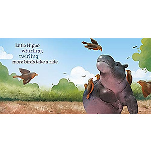 Little Hippo (Little Animal Friends)